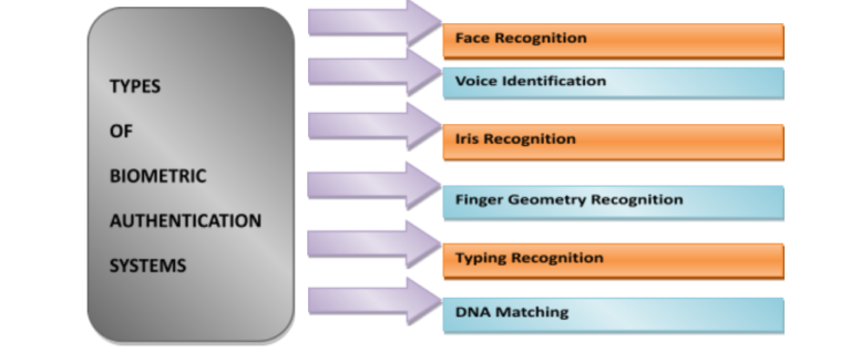 Bio Authentication and Its Importance for Your Business - NAVOMI