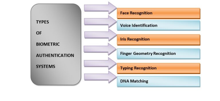 Bio Authentication and Its Importance for Your Business - NAVOMI
